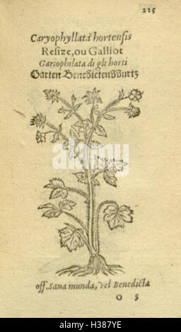 This botanical work offers descriptions and illustrations of flowers ...