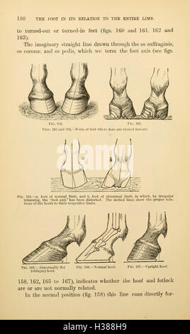 This handbook covers the essential techniques of horse-shoeing ...