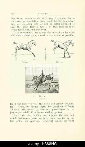 This section discusses the key anatomical points of the horse, focusing ...