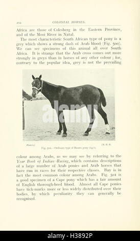This book provides detailed descriptions of the anatomical and physical ...