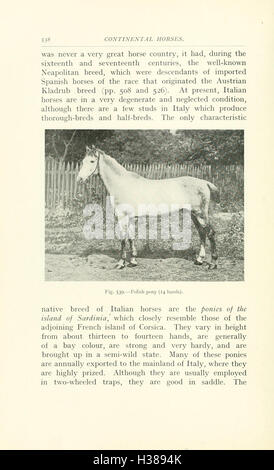 This work details the key anatomical features of the horse, including ...