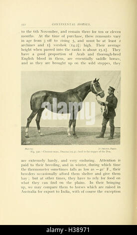 This work provides a detailed analysis of the physical characteristics ...