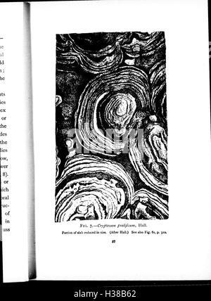 This text explores Earth's early life history, focusing on the ...