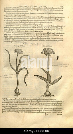 Rembert Dodoens’ botanical work discusses the history and ...