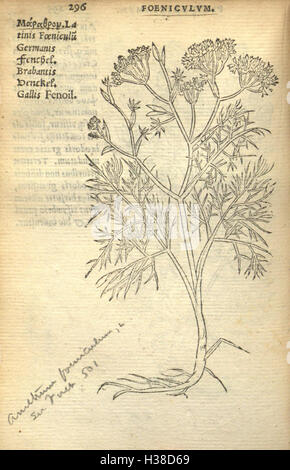 This work presents an extensive history of plants, focusing on their ...