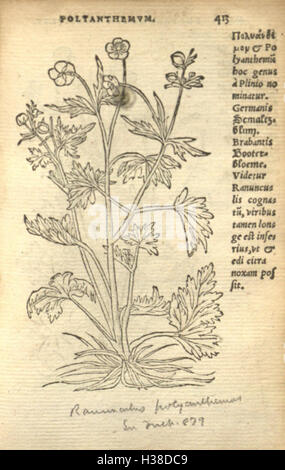 This botanical text provides detailed illustrations of various plant ...