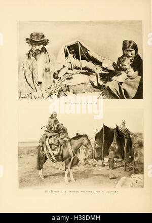 This report outlines the botanical findings of a scientific expedition ...
