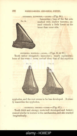 This report provides a geological survey of the region from the Lake of ...