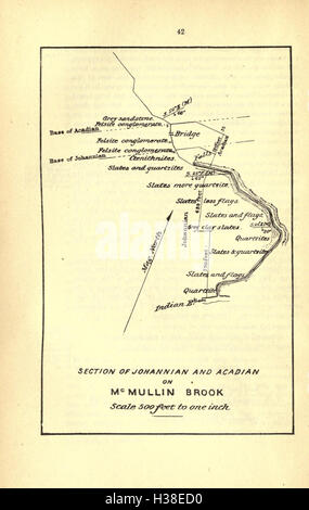 A report on the Cambrian rock formations of Cape Breton, detailing ...