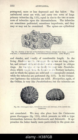 This manual provides an introduction to paleontology, covering the ...