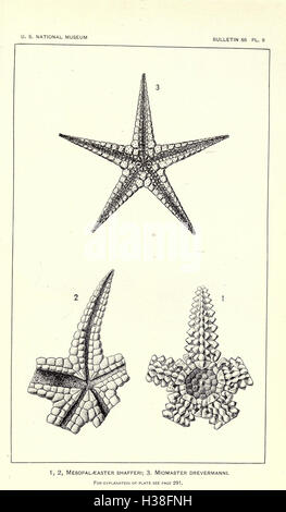 A scientific revision of the Paleozoic Stelleroidea, a class of ...