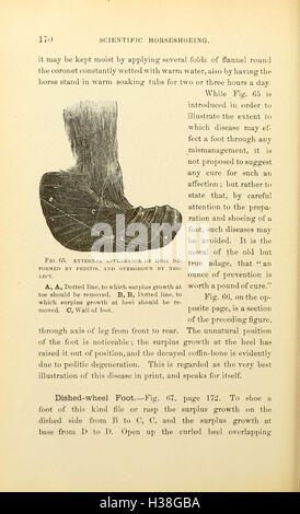 This work by Russell discusses the principles of scientific ...