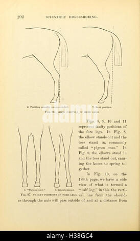 This work focuses on scientific horseshoeing methods to improve horse ...
