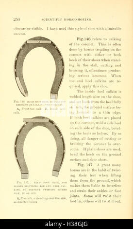 Russell's work focuses on the practice of horseshoeing, offering ...