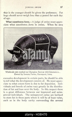 This work examines the methods and practices of pork production in the ...
