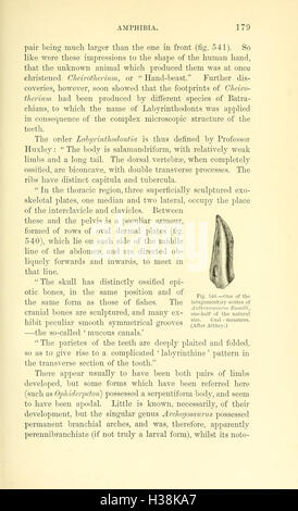 This manual provides an introduction to paleontology, covering fossil ...
