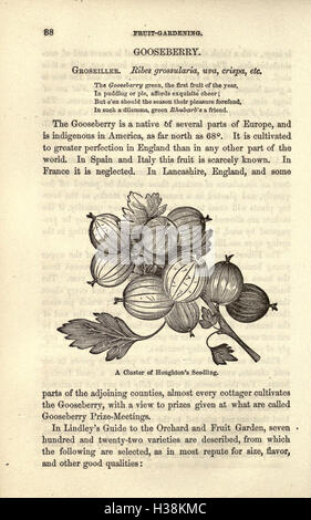 This guide offers practical advice for American gardeners, covering ...