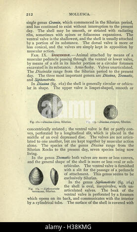 This manual provides an overview of paleontological methods and ...