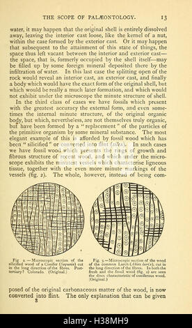This book traces the life history of Earth from the earliest organisms ...