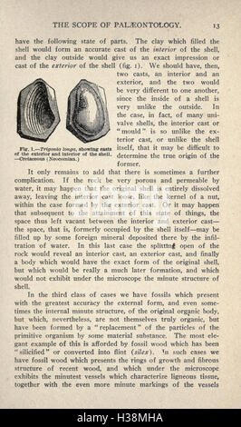 This page explores the origins of life, including scientific theories ...