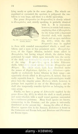 This manual is designed for students studying paleontology, offering an ...