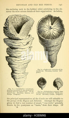 This book traces the earth's ancient life history, exploring the ...