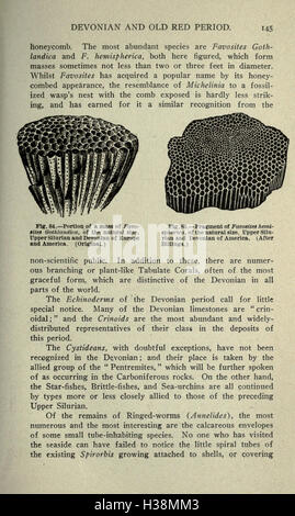 This work explores the earliest stages of life on Earth, depicting the ...