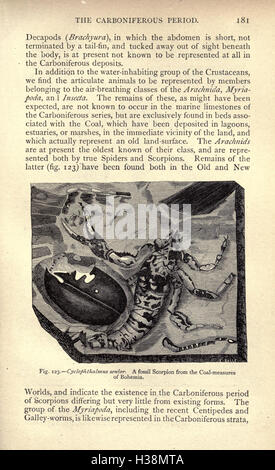 This book traces the history of life on Earth, from its origins to the ...