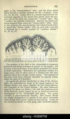 This manual serves as an introduction to paleontology, covering the ...