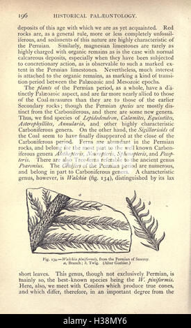 This work discusses the Earth's ancient history, focusing on the ...
