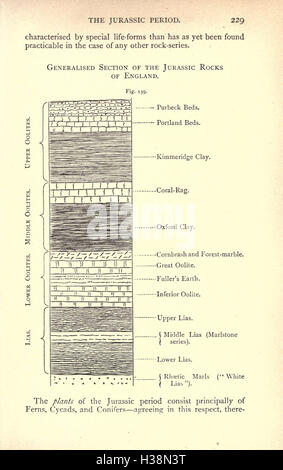 A continuation of the exploration into the Earth’s ancient life-history ...
