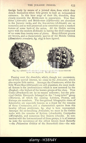 This text explores the history of Earth's life forms, tracing the ...