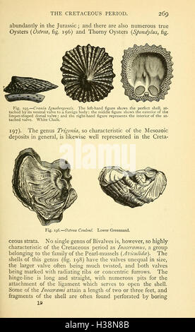 This work traces the earliest fossil records, exploring the development ...