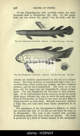 An introduction to paleontology, explaining the fundamental concepts ...