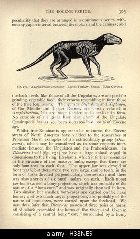 This work delves into the ancient life-history of Earth, exploring the ...