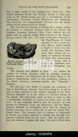 This page examines the evolution of life on Earth, detailing the ...