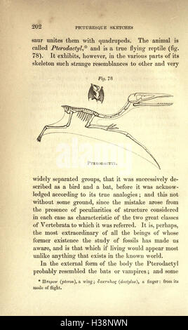 This work provides an overview of the ancient world, covering key ...