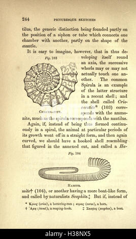 This work offers an overview of the ancient world, covering key ...