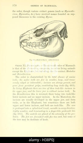 This introduction to paleontology covers fundamental principles, fossil ...