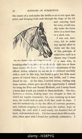 This work provides comprehensive methods for taming and educating ...