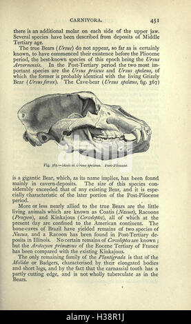 This manual offers an introduction to paleontology for students ...