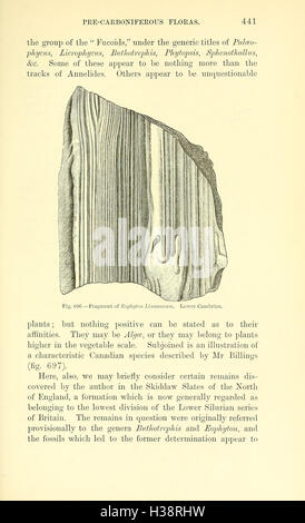 This manual serves as an introduction to paleontology, providing ...