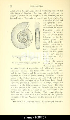 This introduction to paleontology provides foundational knowledge on ...