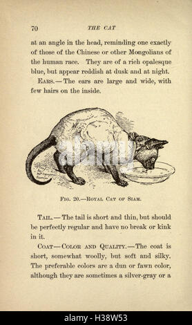 This guide provides a detailed classification of cat breeds and ...