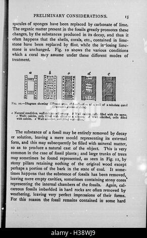 'The Chain of Life in Geological Time' discusses the timeline of life ...
