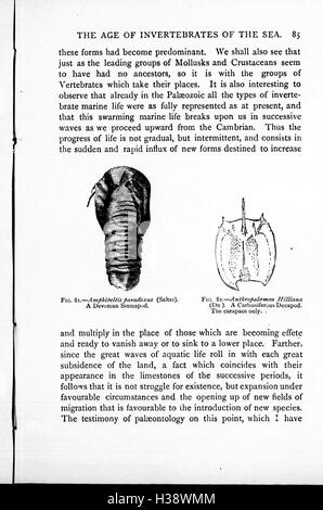'The Chain of Life in Geological Time' discusses the timeline of life ...