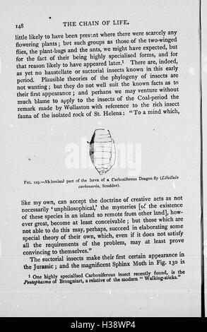This page discusses the concept of the chain of life in the context of ...