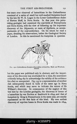 'The Chain of Life in Geological Time' discusses the timeline of life ...