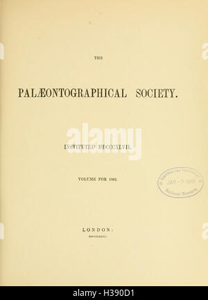 A monograph of the British fossil Trigoniae BHL121 Stock Photo - Alamy