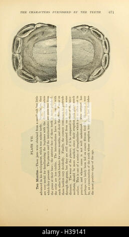 This section explores the physical characteristics, behavior, and ...